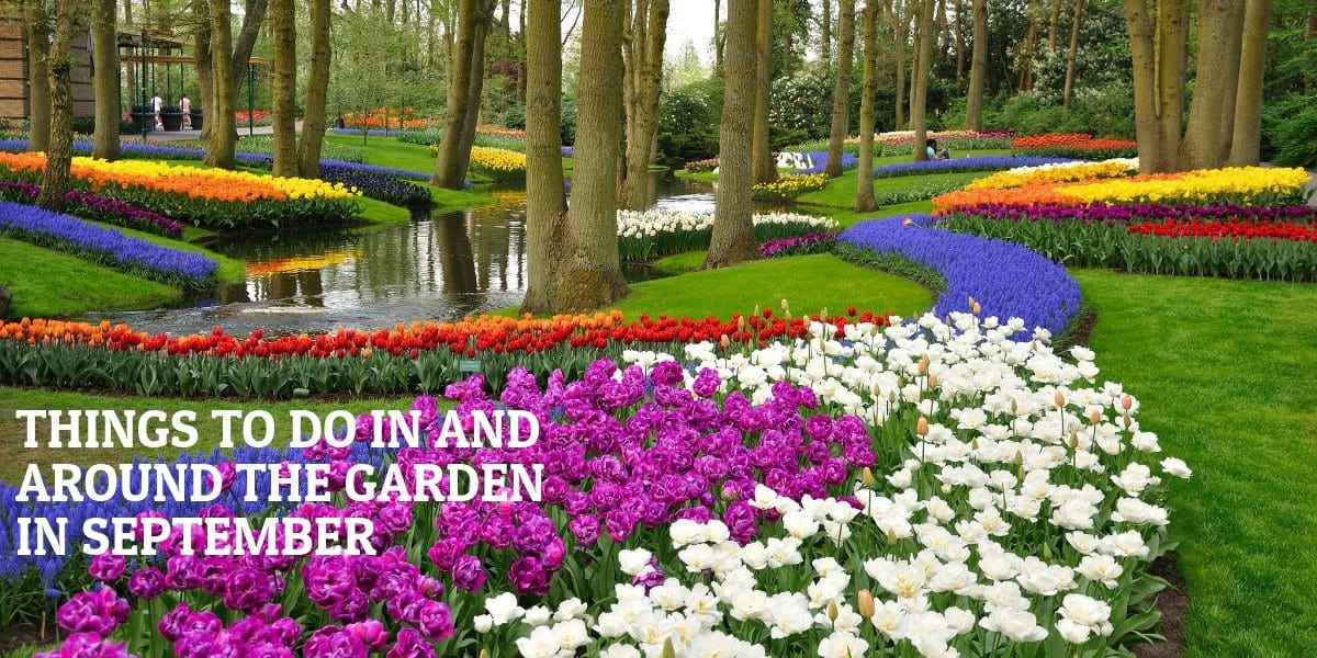 Things To Do In and Around The Garden in September